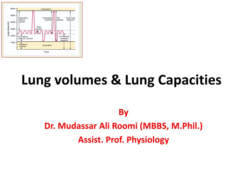 PPT - Lung volumes & Lung Capacities PowerPoint Presentation, free ...