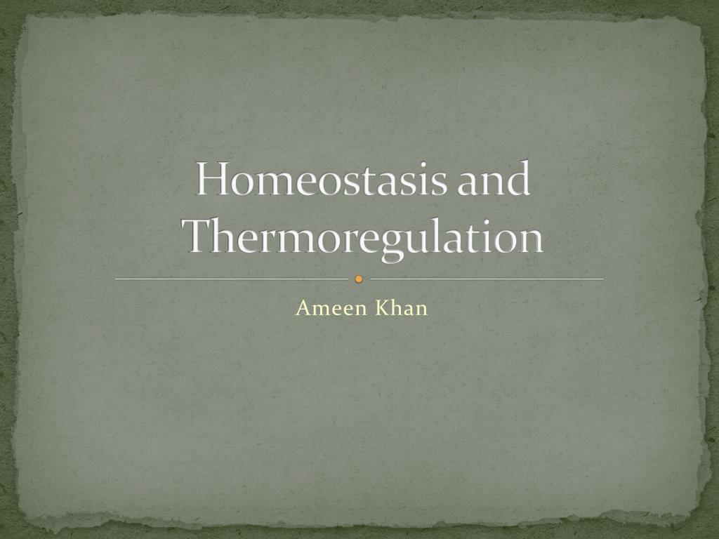 PPT - Homeostasis and Thermoregulation PowerPoint Presentation, free ...