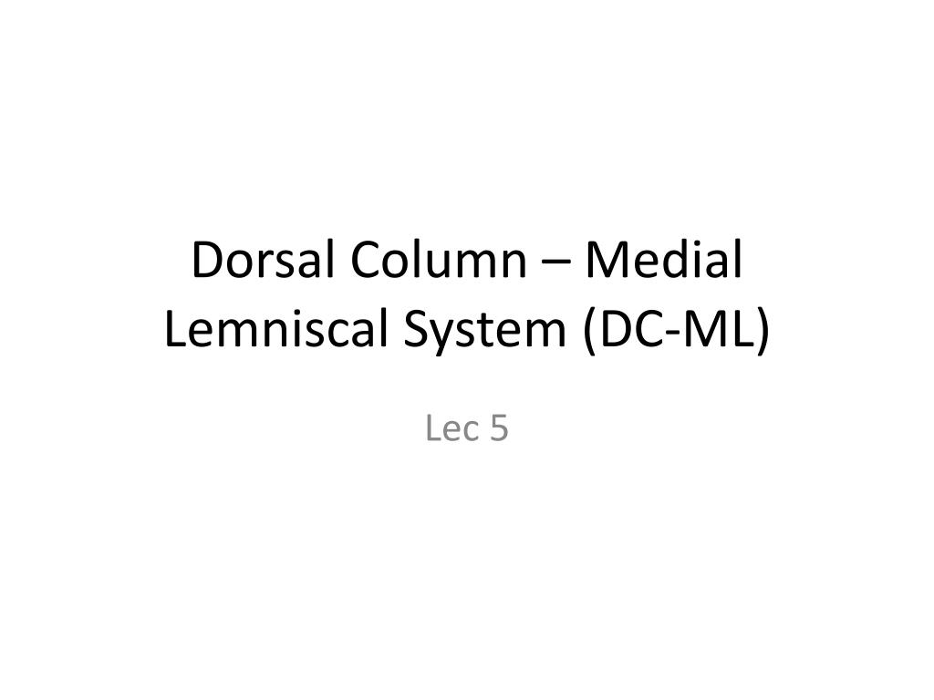 PPT - Dorsal Column – Medial Lemniscal System (DC-ML) PowerPoint ...