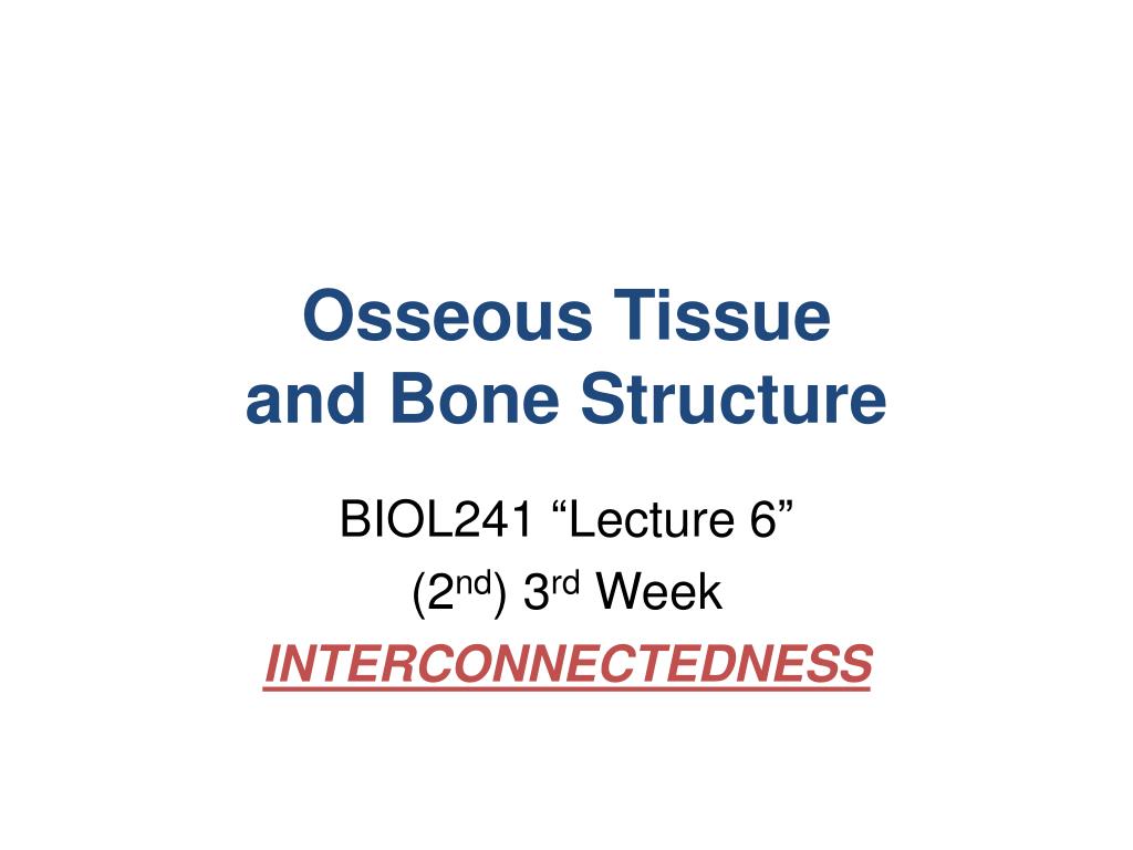 PPT - Osseous Tissue and Bone Structure PowerPoint Presentation, free ...