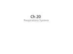 PPT - Microevolution Ch. 20 PowerPoint Presentation, free download - ID ...