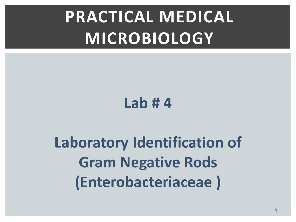 PPT - Practical Medical Microbiology PowerPoint Presentation, free ...