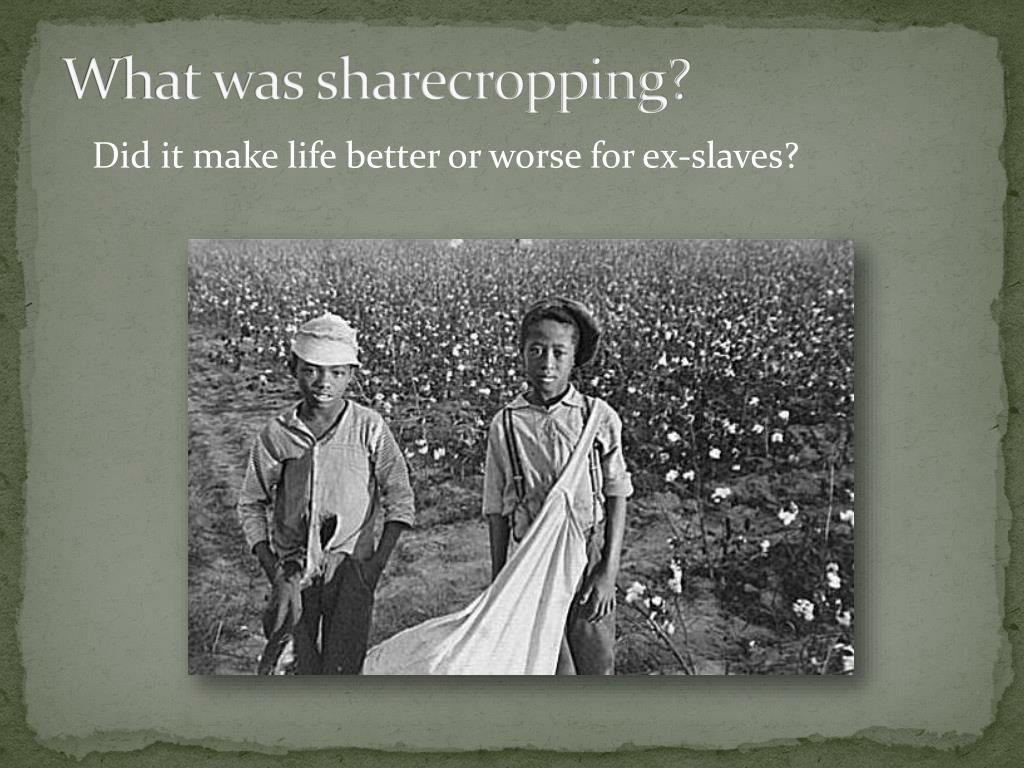 PPT - What was sharecropping? PowerPoint Presentation, free download ...