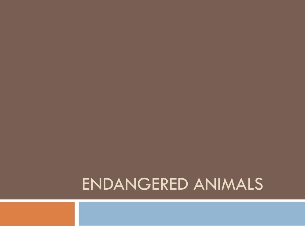 PPT - Endangered Animals PowerPoint Presentation, free download - ID ...