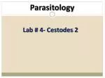 PPT - parasitology PowerPoint Presentation, free download - ID:9630490