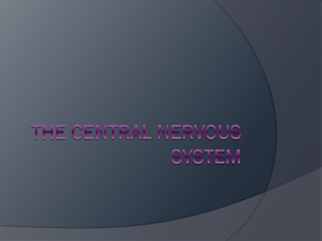PPT - The Central Nervous System PowerPoint Presentation, free download ...