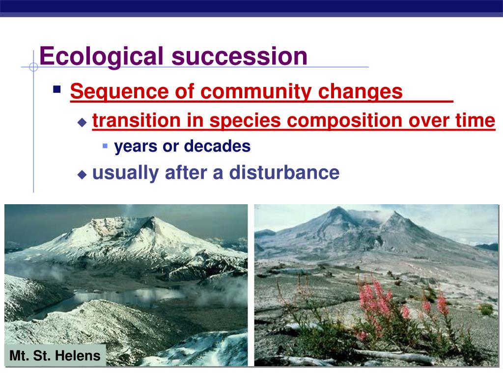 PPT - Ecological succession PowerPoint Presentation, free download - ID ...