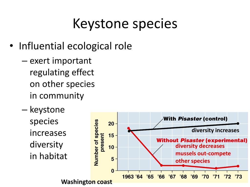 PPT - Keystone species PowerPoint Presentation, free download - ID:2358585
