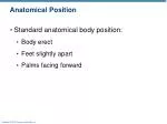 PPT - Anatomical Position, Directions, Regions , Planes, Cavities ...
