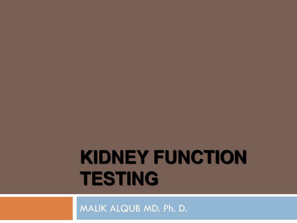 PPT - Kidney Function Testing PowerPoint Presentation, free download ...