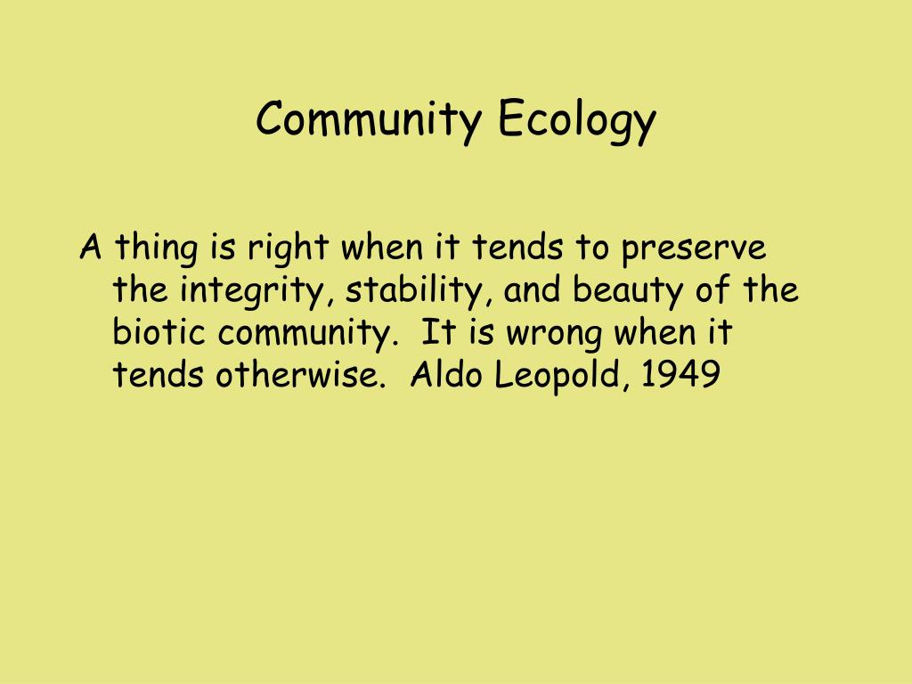 PPT - Community Ecology PowerPoint Presentation, free download - ID:2361891