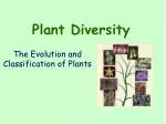 PPT - PLANT DIVERSITY PowerPoint Presentation, free download - ID:2160629