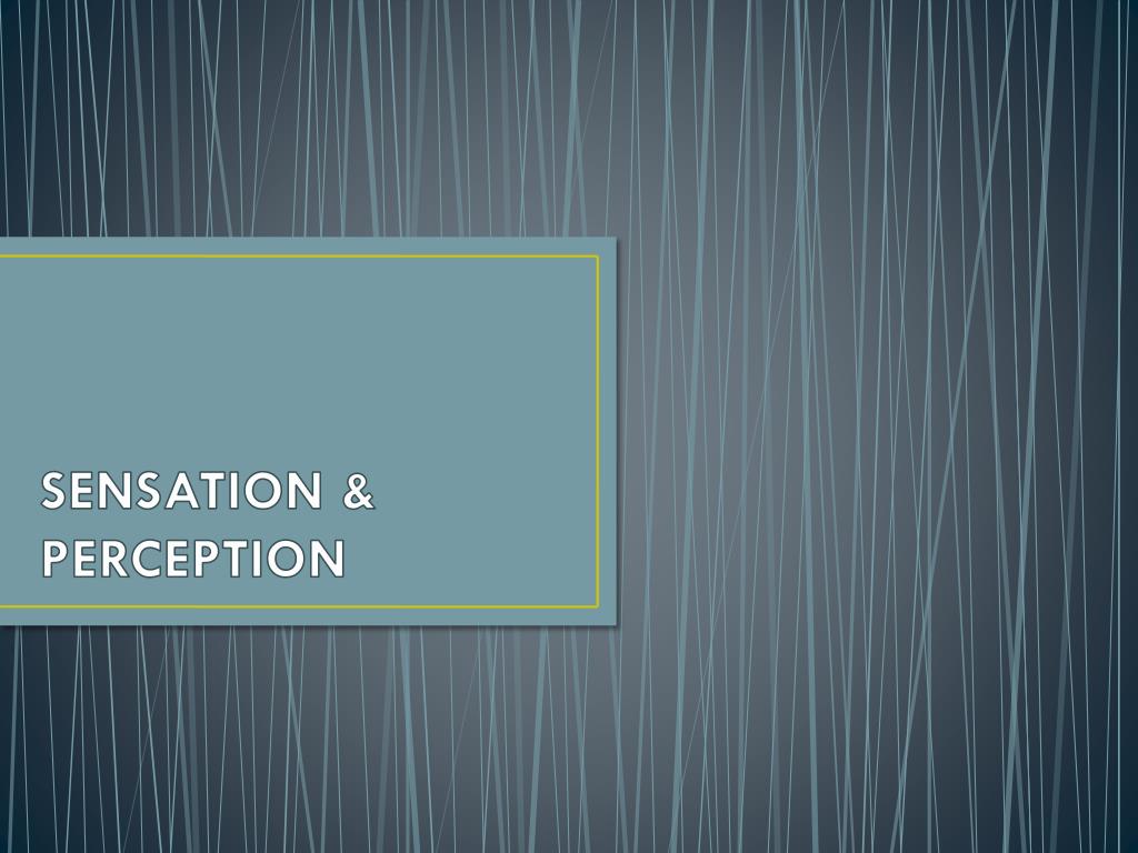 PPT - SENSATION & PERCEPTION PowerPoint Presentation, free download ...