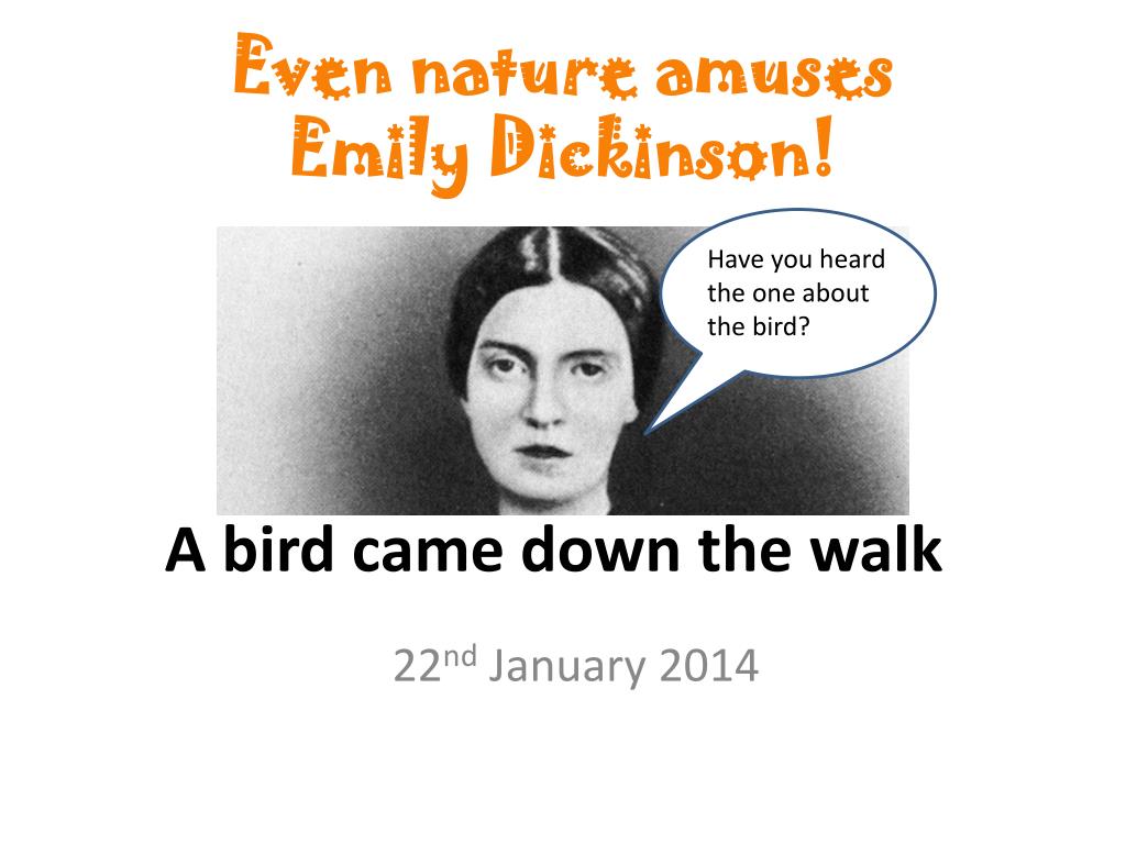 PPT - A bird came down the walk PowerPoint Presentation, free download ...