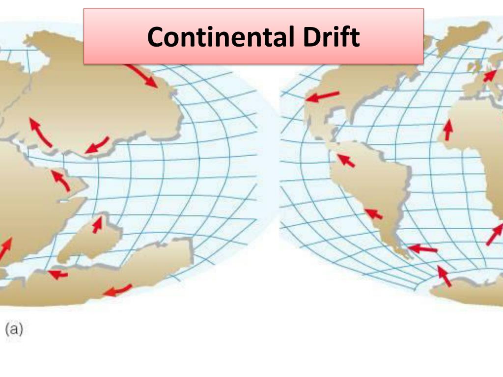 PPT - Continental Drift PowerPoint Presentation, free download - ID:2366115