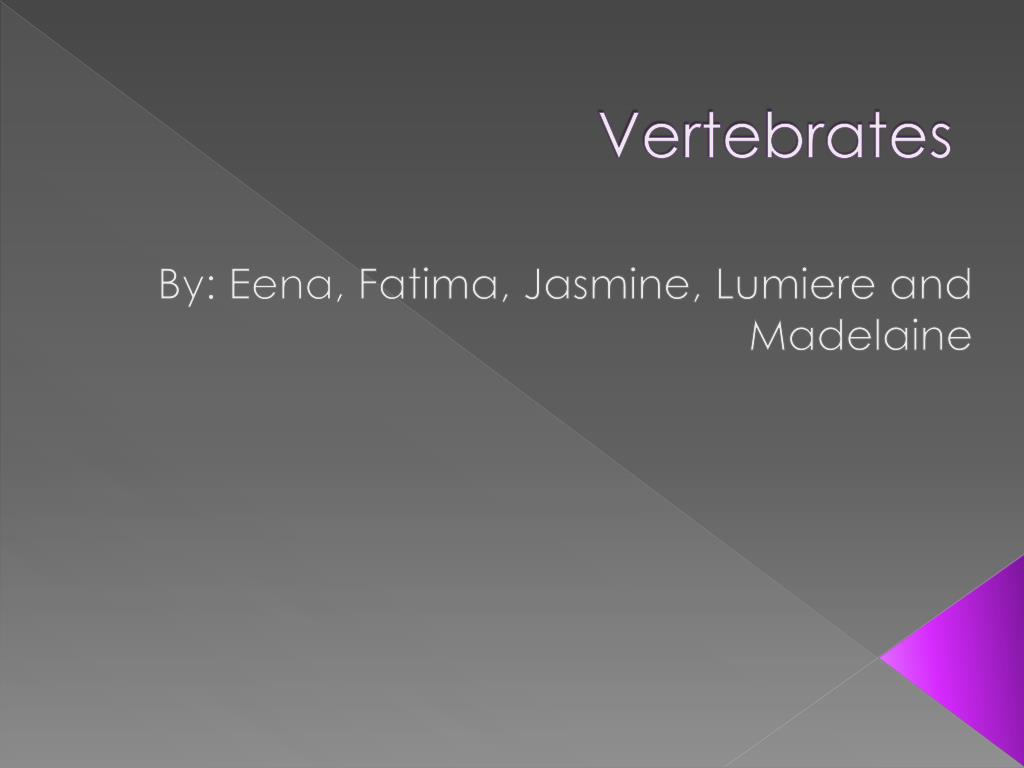 PPT - Vertebrates PowerPoint Presentation, free download - ID:2366626