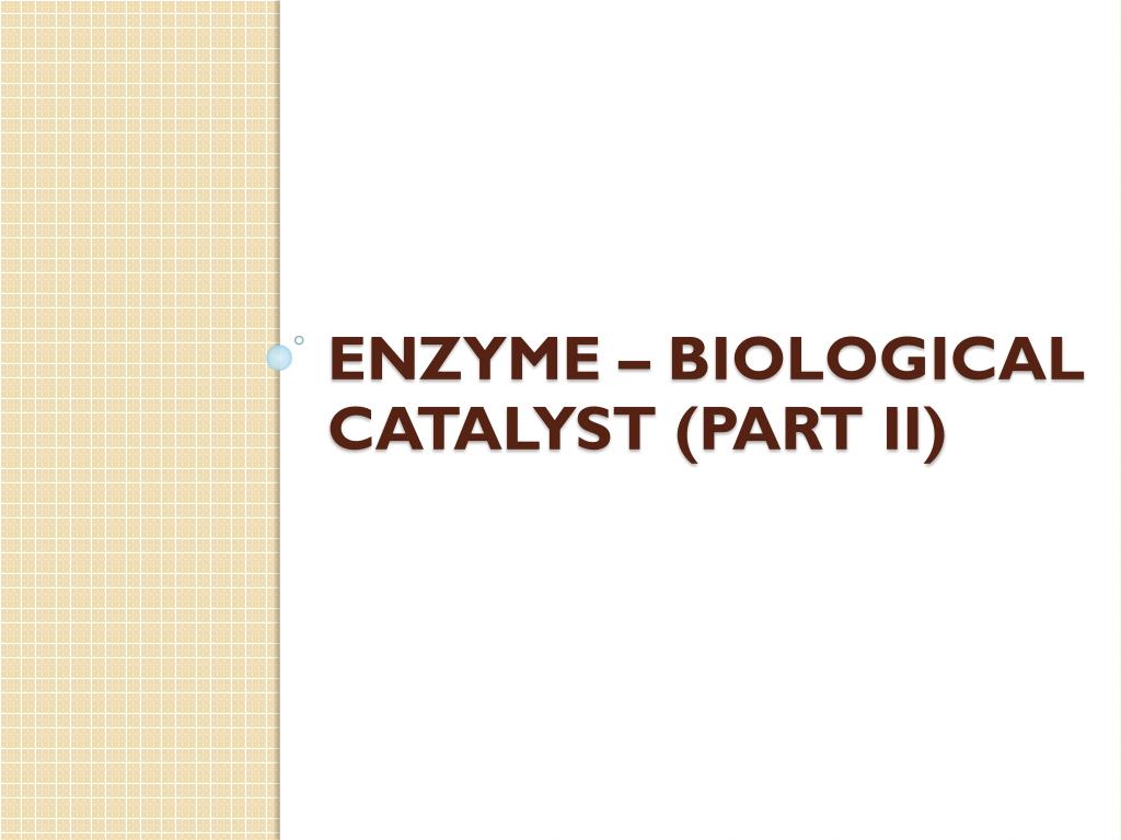 PPT - Enzyme – Biological Catalyst (Part ii) PowerPoint Presentation ...