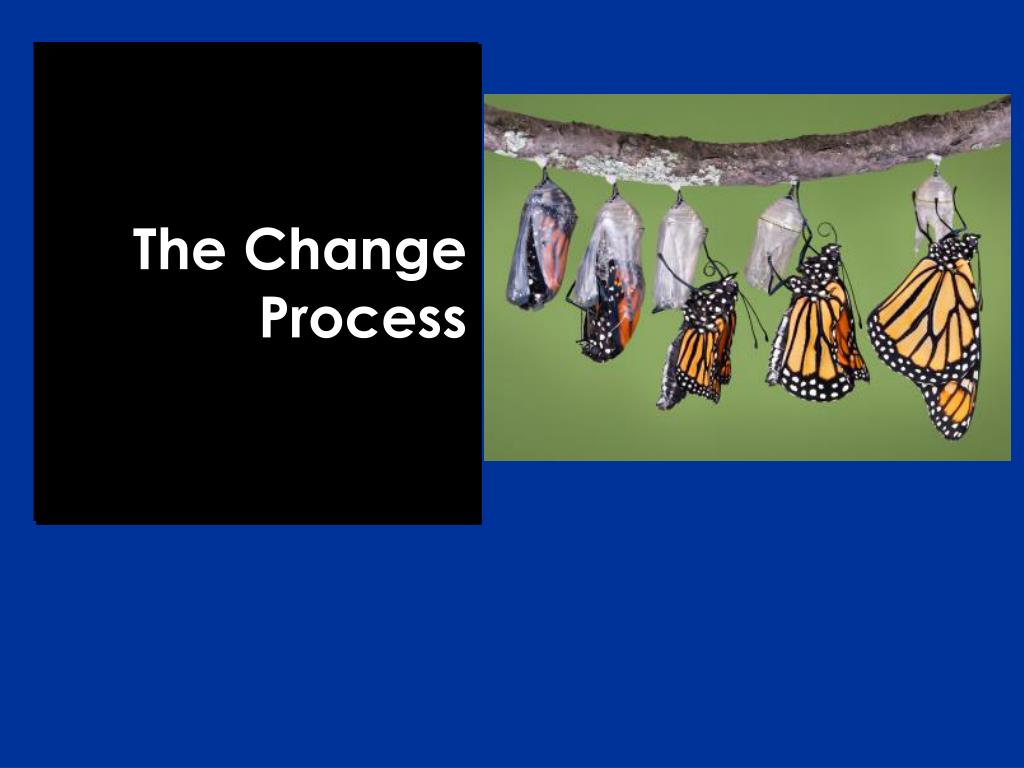 PPT - The Change Process PowerPoint Presentation, free download - ID ...