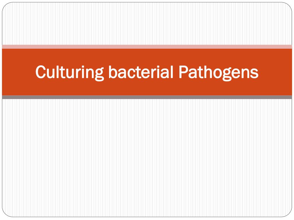PPT - Culturing bacterial Pathogens PowerPoint Presentation, free ...