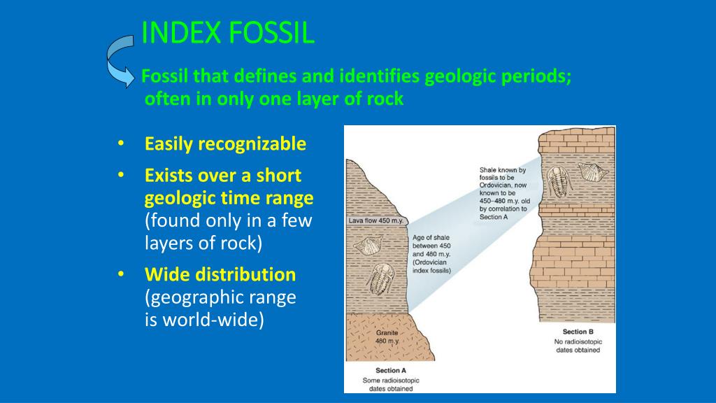 PPT - INDEX FOSSIL PowerPoint Presentation, free download - ID:2368684