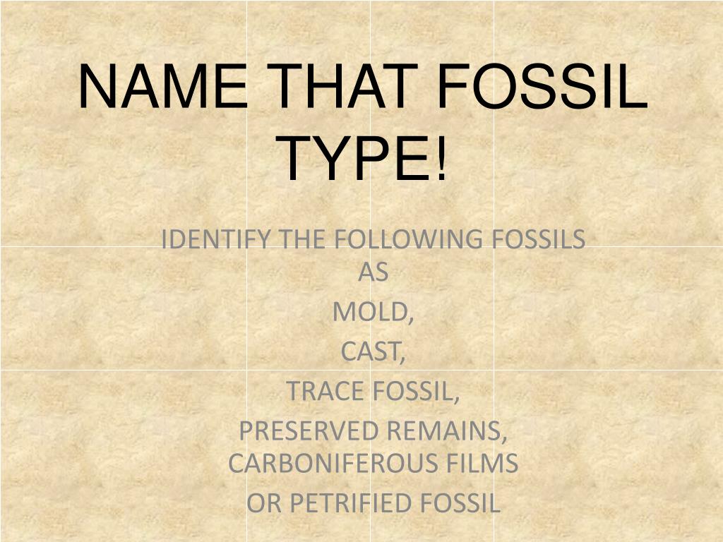 PPT - NAME THAT FOSSIL TYPE! PowerPoint Presentation, free download ...