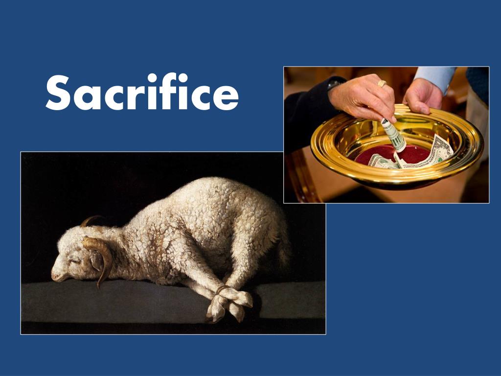 PPT - Sacrifice PowerPoint Presentation, free download - ID:2369722