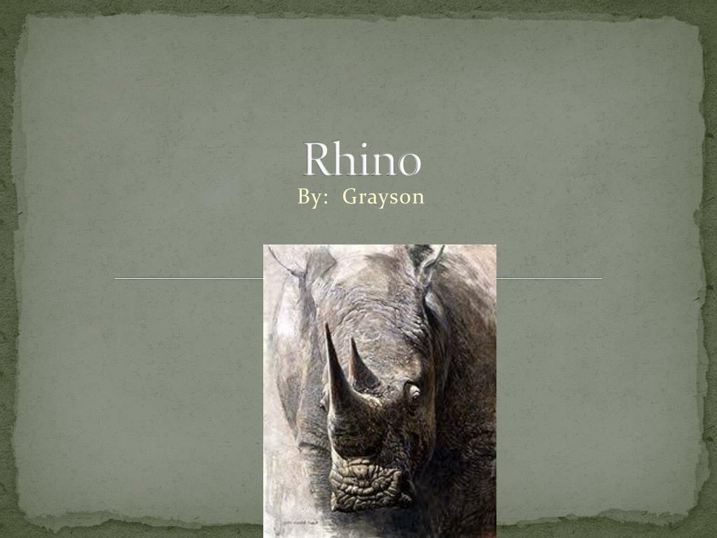 PPT - Rhino PowerPoint Presentation, free download - ID:2370794