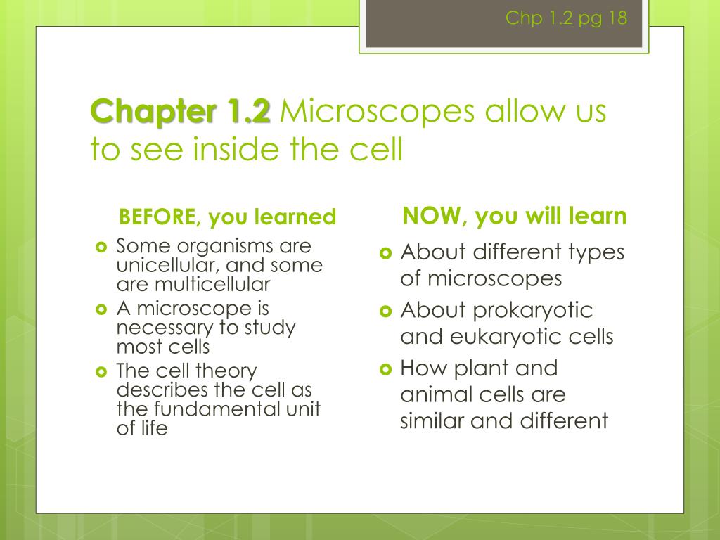 PPT - Chapter 1.2 Microscopes allow us to see inside the cell ...