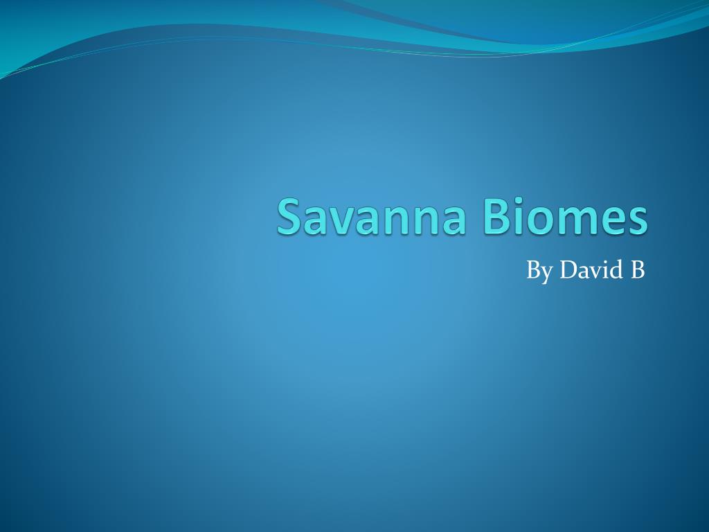 PPT - Savanna Biomes PowerPoint Presentation, free download - ID:2371667