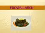 PPT - Encapsulation PowerPoint Presentation, free download - ID:10988801