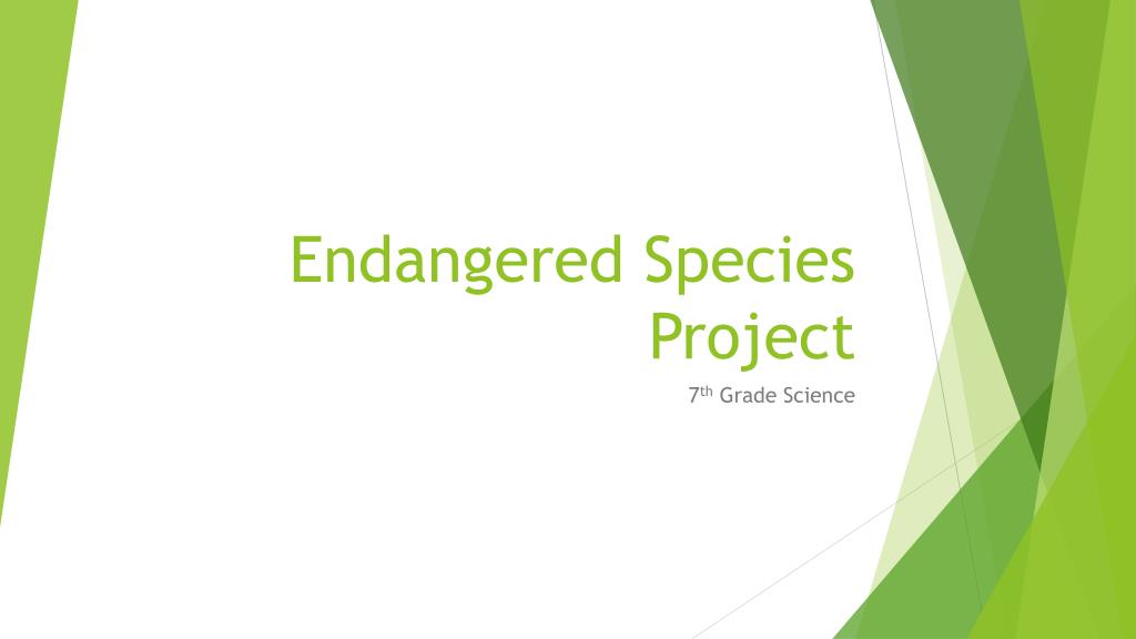 PPT - Endangered Species Project PowerPoint Presentation, free download ...