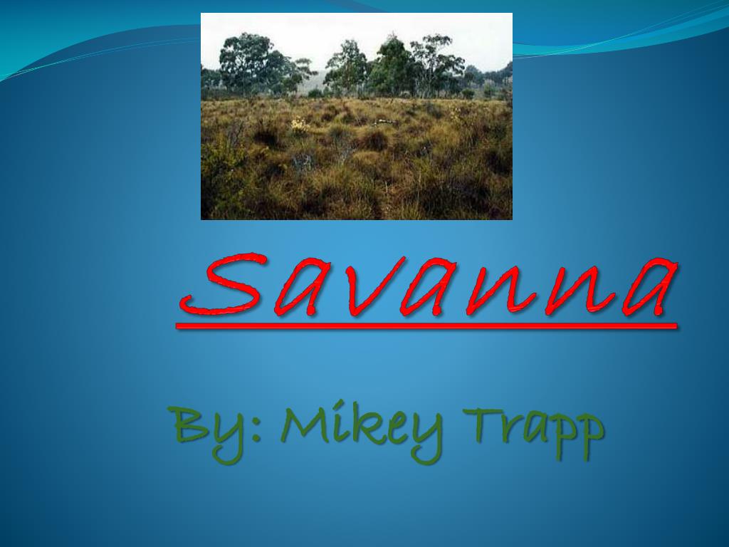 PPT - Savanna PowerPoint Presentation, free download - ID:2373276