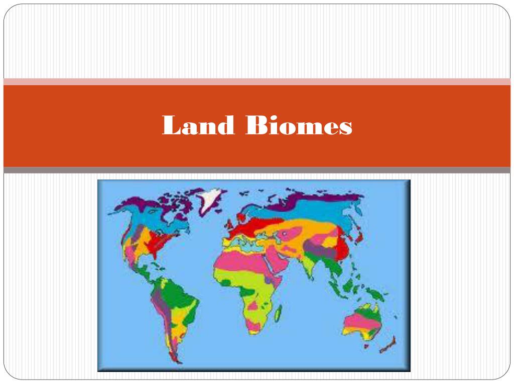 PPT - Land Biomes PowerPoint Presentation, free download - ID:2373285