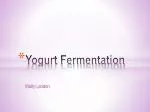 PPT - Fermentation of Yogurt PowerPoint Presentation, free download ...