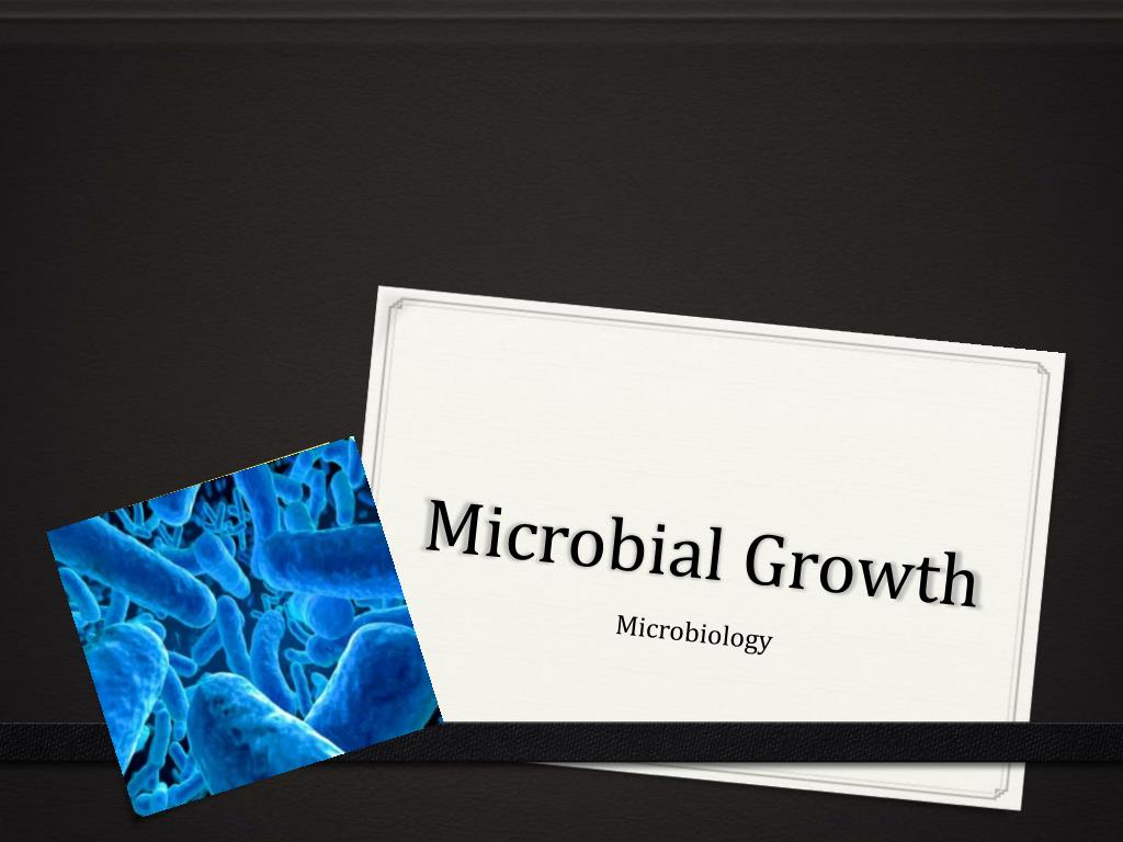 PPT - Microbial Growth PowerPoint Presentation, free download - ID:2373810