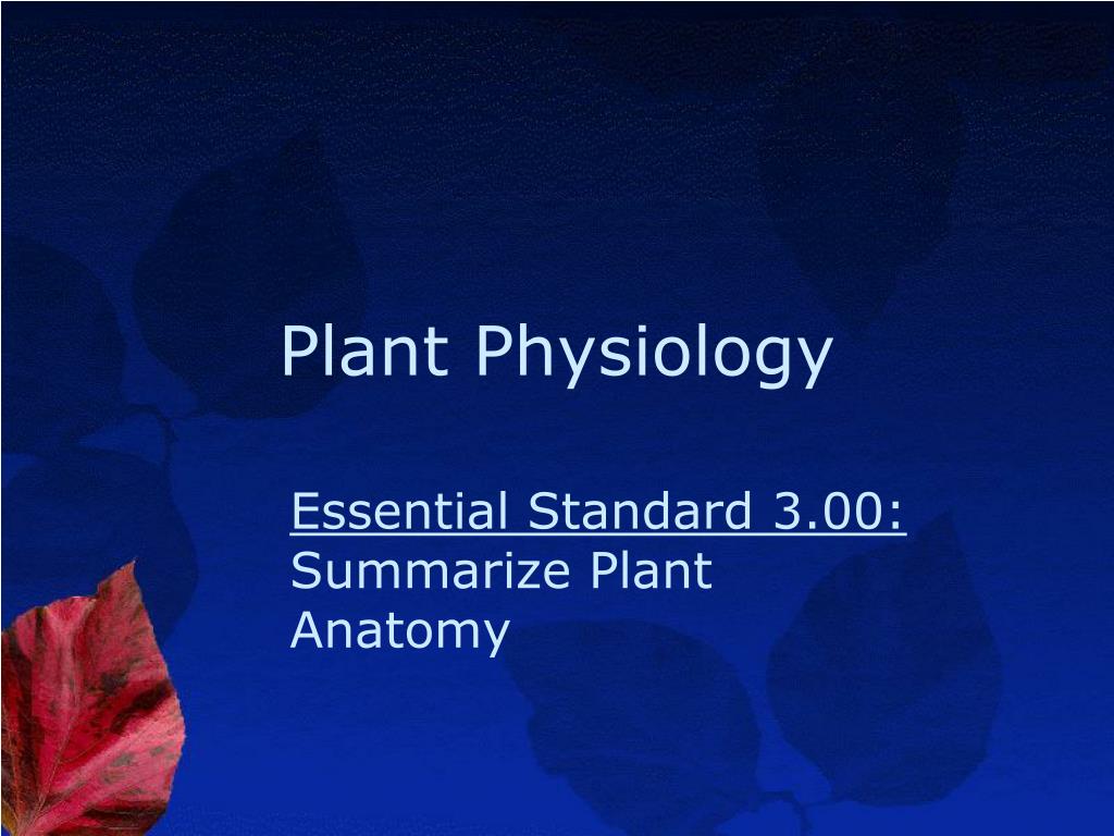 PPT - Plant Physiology PowerPoint Presentation, free download - ID:2374098