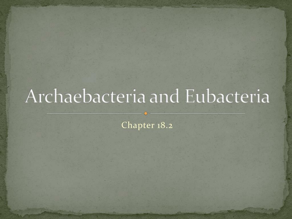 PPT - Archaebacteria and Eubacteria PowerPoint Presentation, free ...