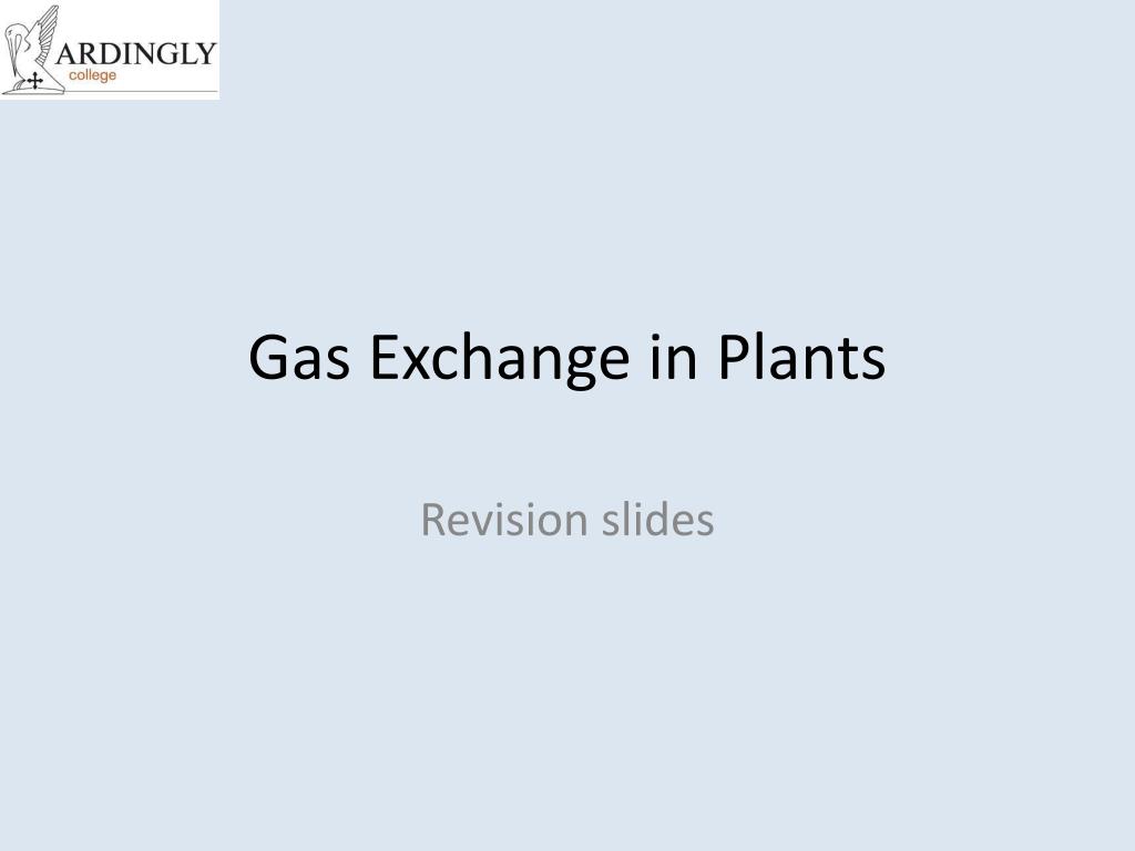 PPT - Gas Exchange in Plants PowerPoint Presentation, free download ...