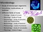 PPT - Aquatic Microbiology PowerPoint Presentation, free download - ID ...