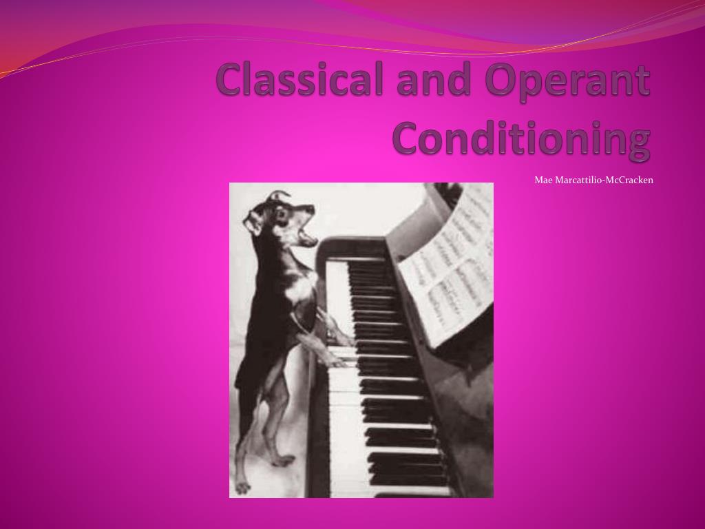 PPT - Classical and Operant Conditioning PowerPoint Presentation, free download - ID:2376698