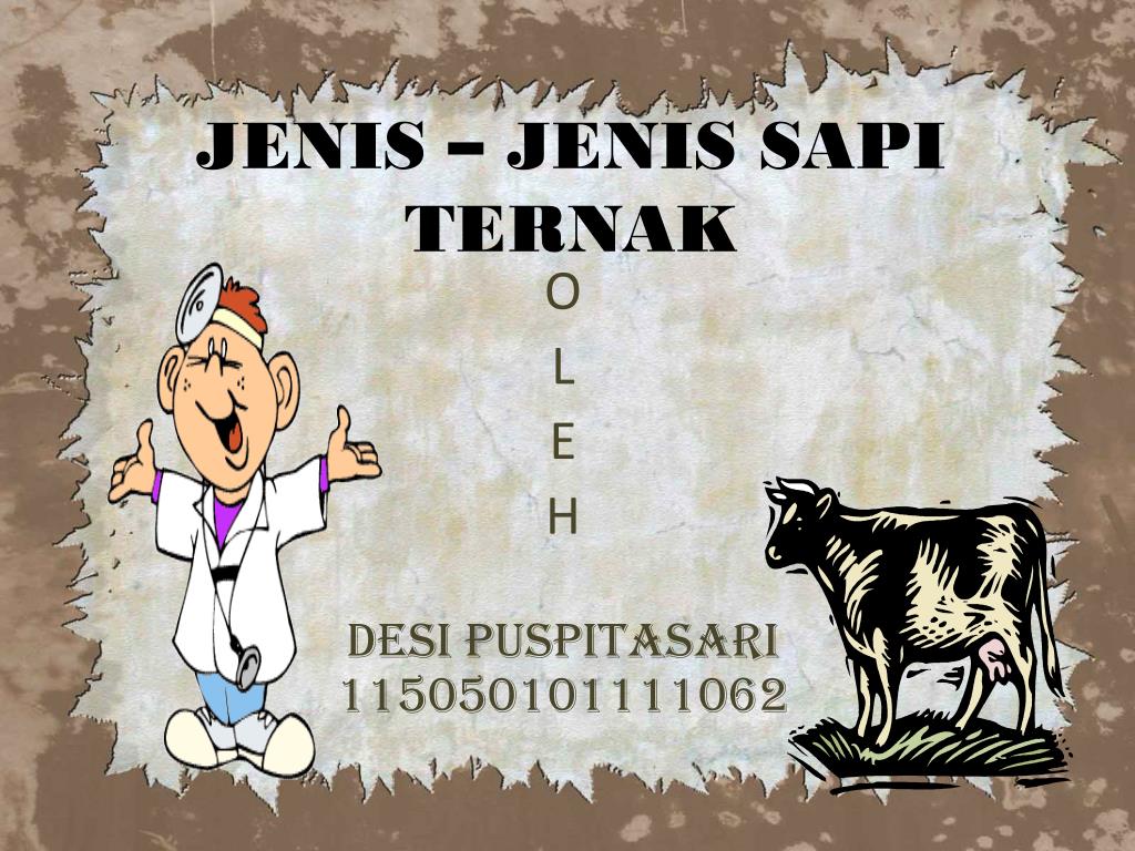 PPT - JENIS – JENIS SAPI TERNAK PowerPoint Presentation, free download ...