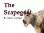 PPT - Scapegoat PowerPoint Presentation, free download - ID:2638109