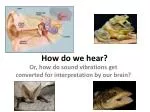 PPT - The Ear and How We Hear PowerPoint Presentation, free download ...
