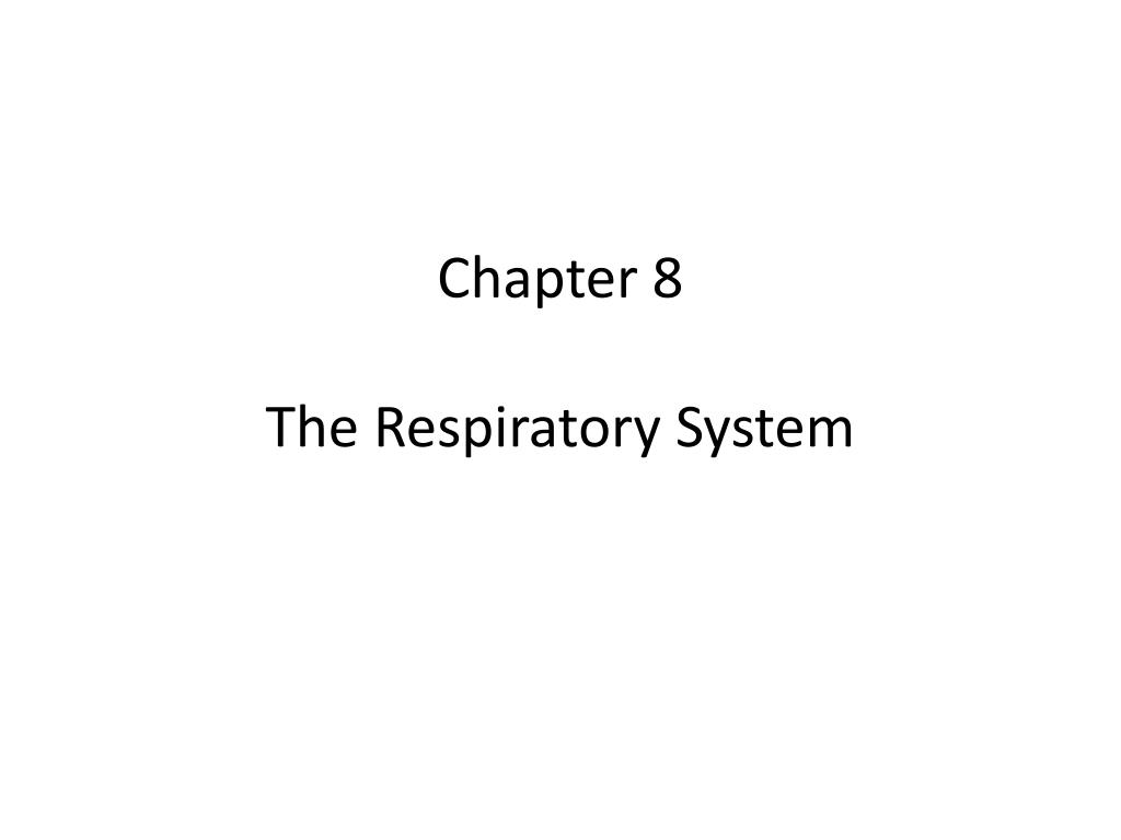 PPT - Chapter 8 The Respiratory System PowerPoint Presentation, free ...