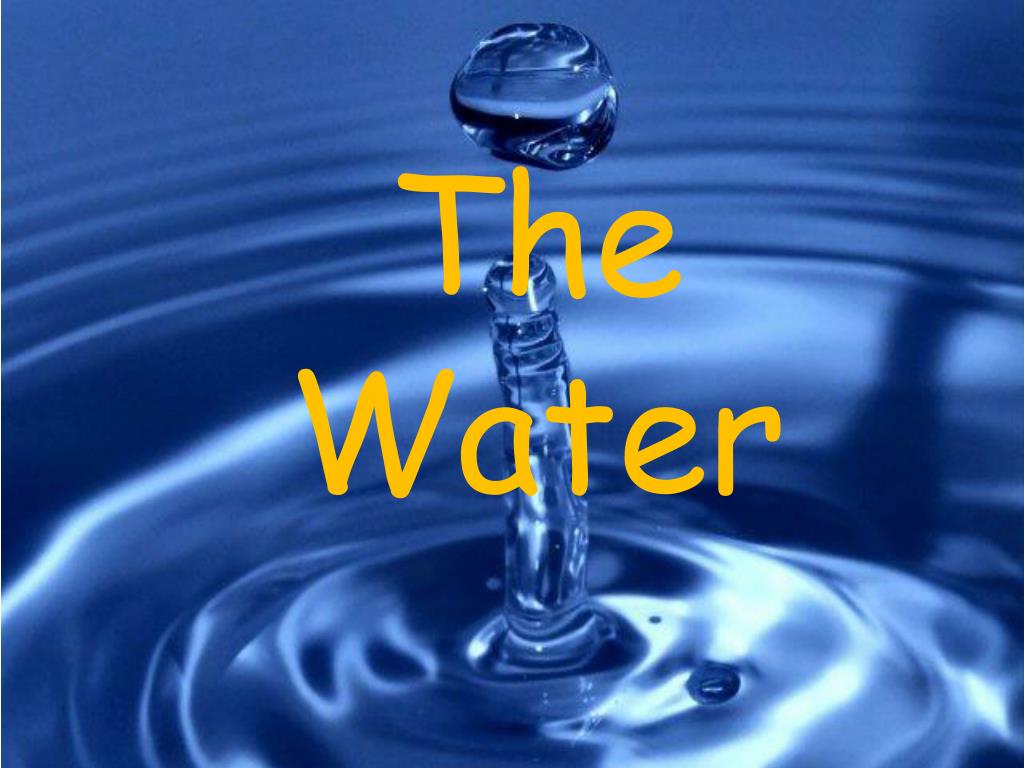 PPT - The Water PowerPoint Presentation, free download - ID:2378916