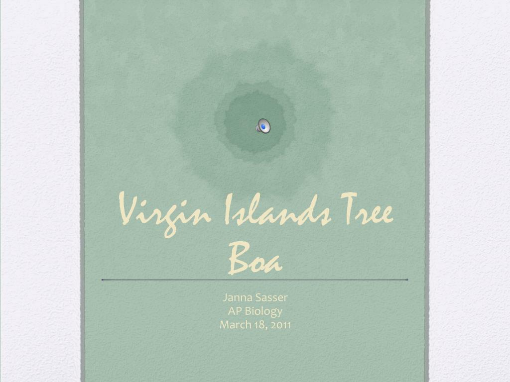 PPT - Virgin Islands Tree Boa PowerPoint Presentation, free download ...