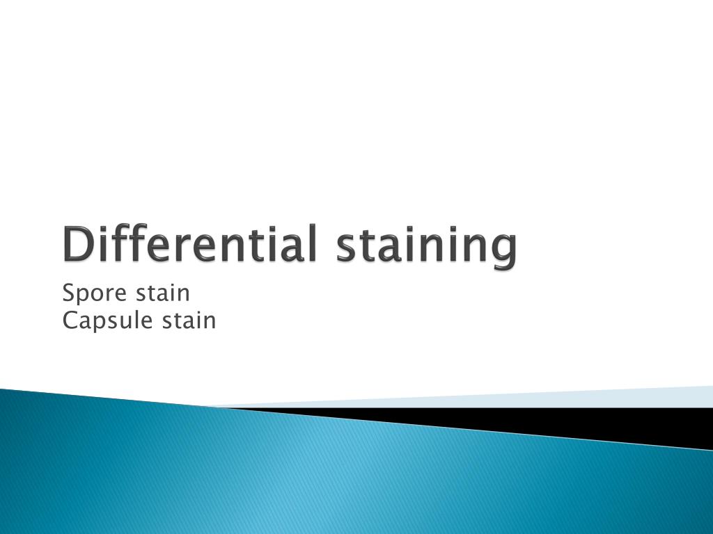 PPT - Differential staining PowerPoint Presentation, free download - ID ...