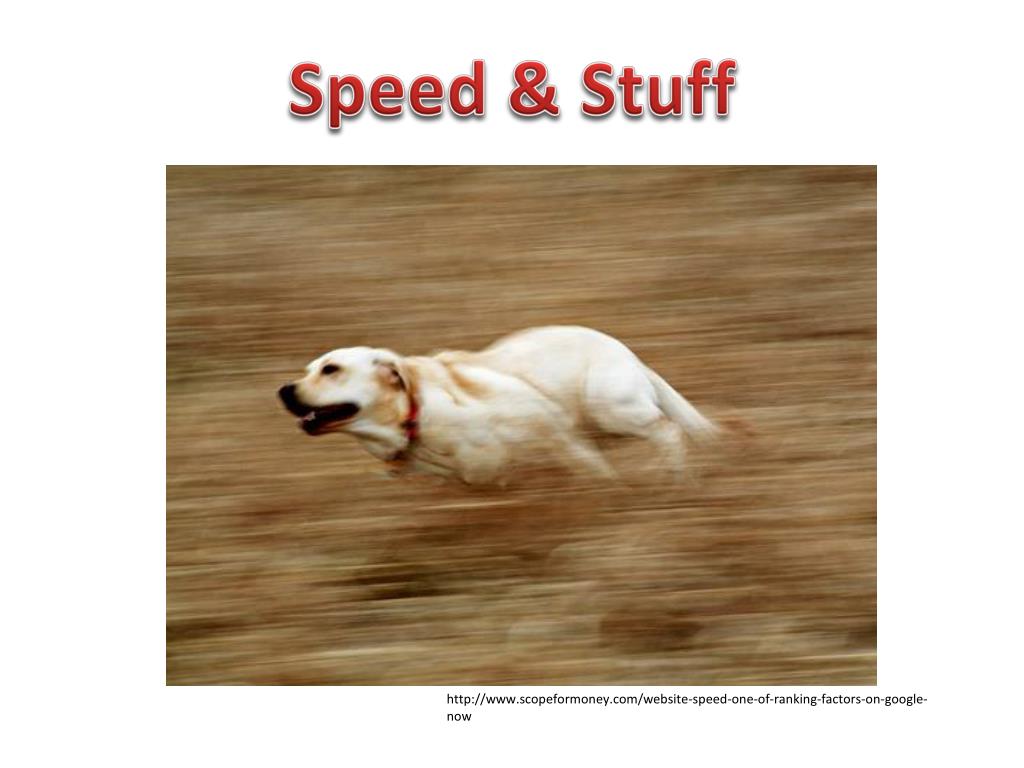 PPT - Speed & Stuff PowerPoint Presentation, free download - ID:2383711