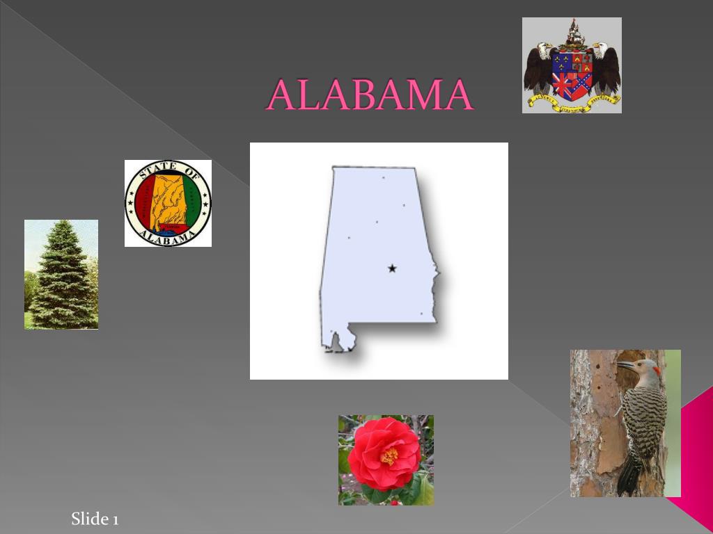 PPT - ALABAMA PowerPoint Presentation, free download - ID:2385318