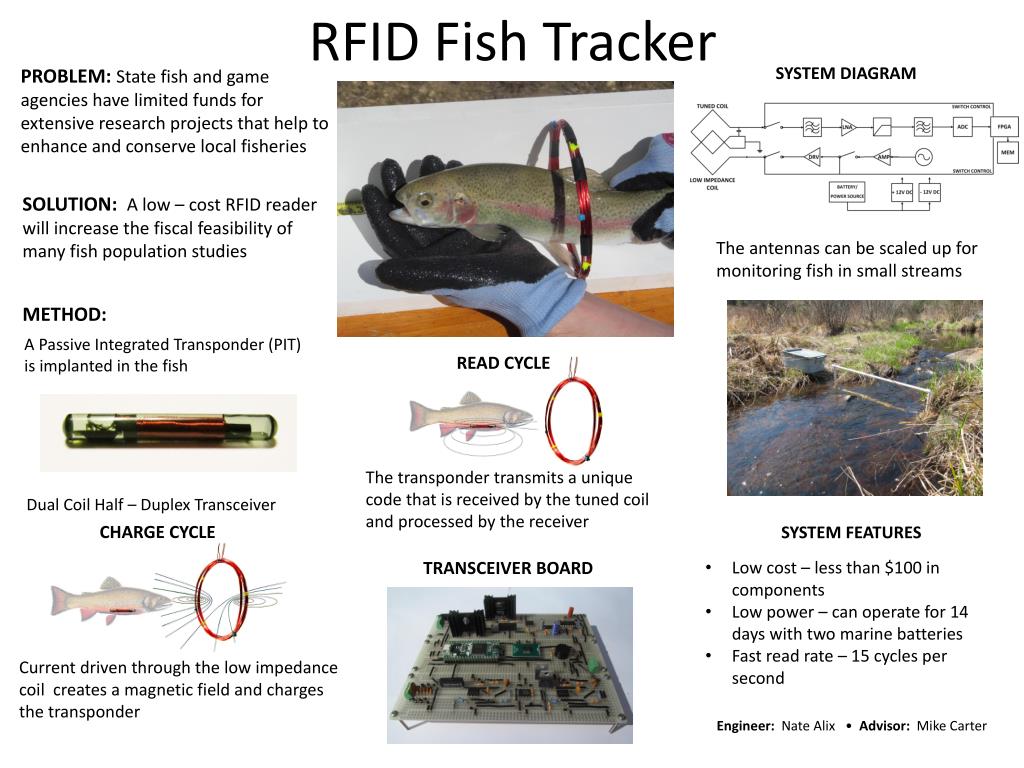 PPT - Low-Cost RFID Fish Tracker for Local Fishery Conservation ...